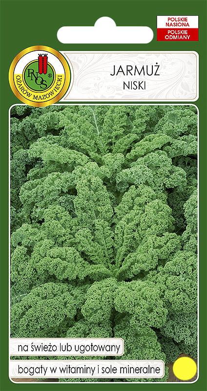 Jarmuż niski DWARF GREEN CURLED 100g | Sklep internetowy PNOS